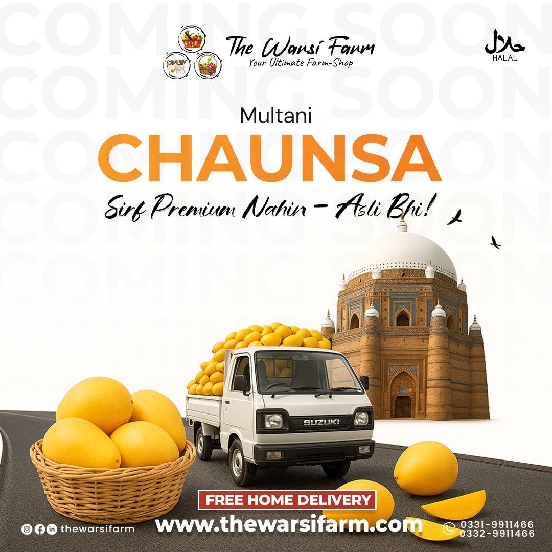 Chaunsa Mango: The King of Mangoes – The Warsi Farm