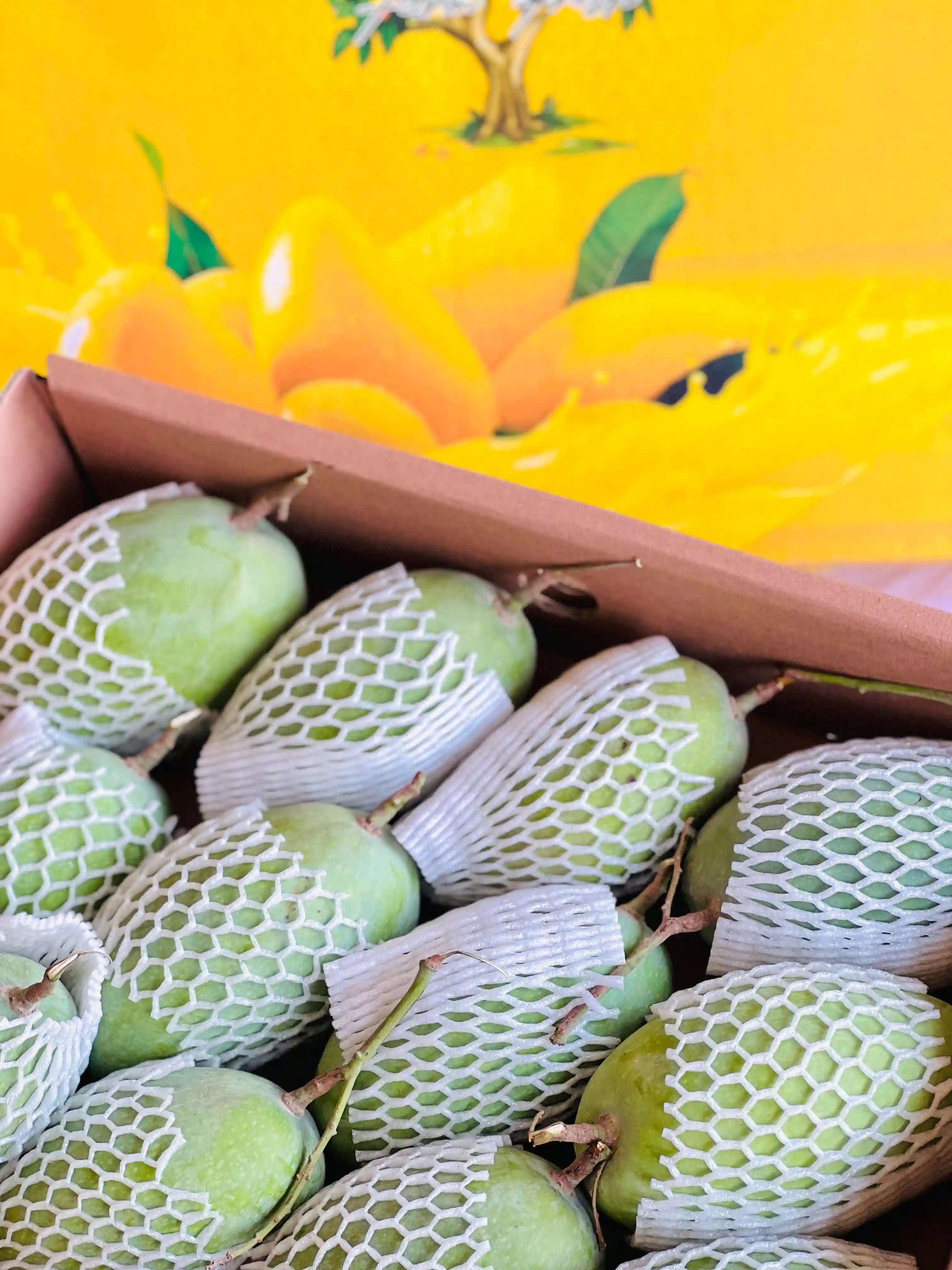 Sindhri Mango: The King of Mangoes in Pakistan – The Warsi Farm