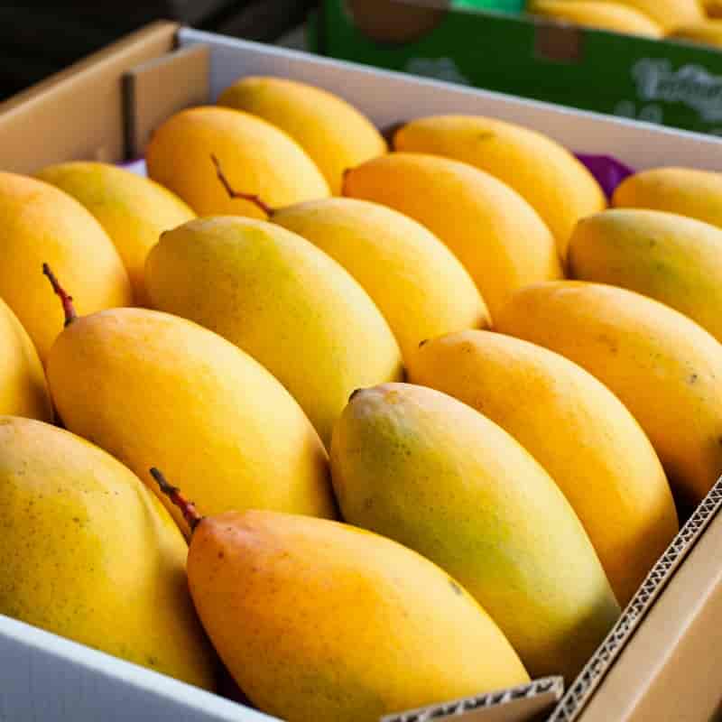 Buy Mangoes Online: Explore the Best Mango Varieties Available – The ...