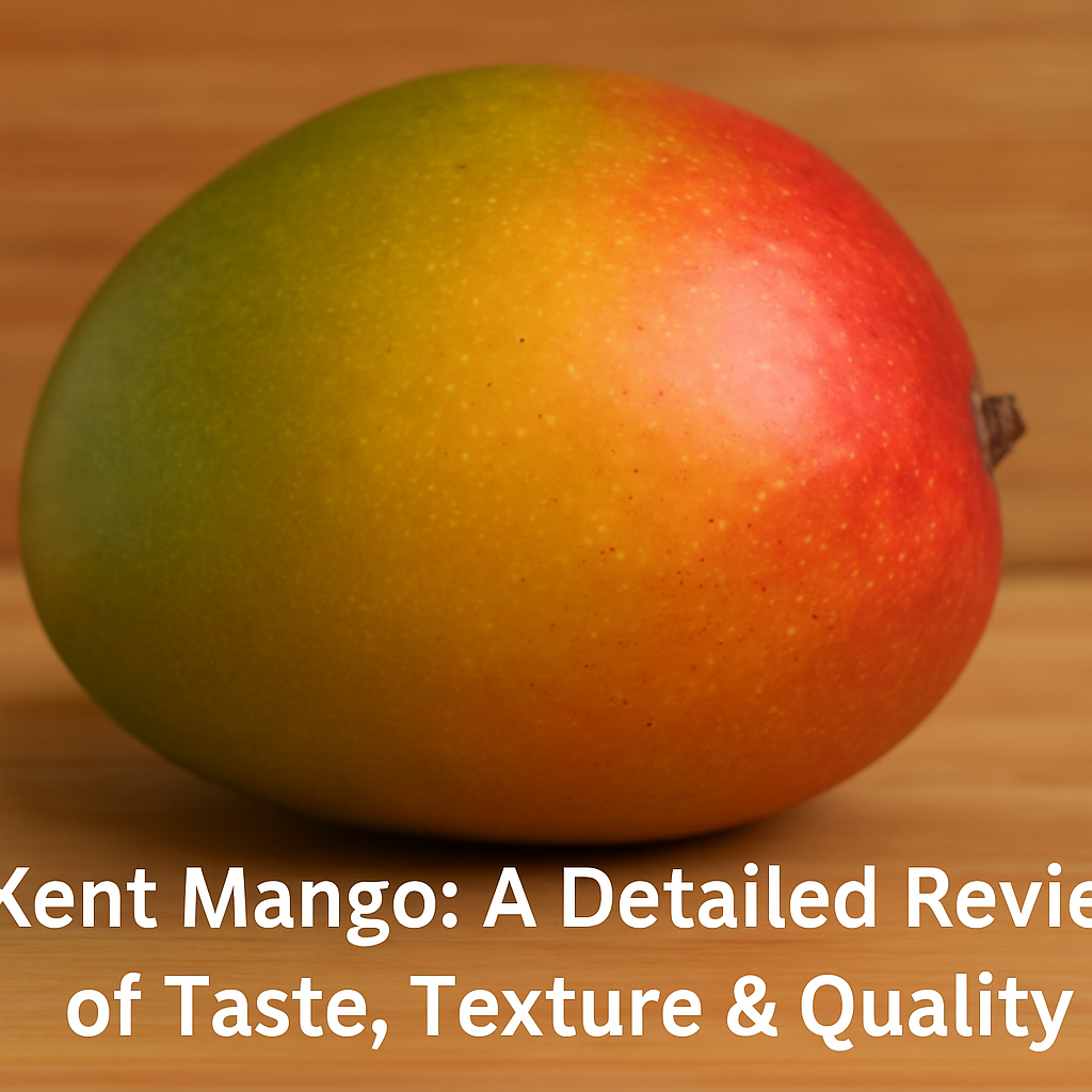 Kent Mango: A Detailed Review of Taste, Texture & Quality – The Warsi Farm
