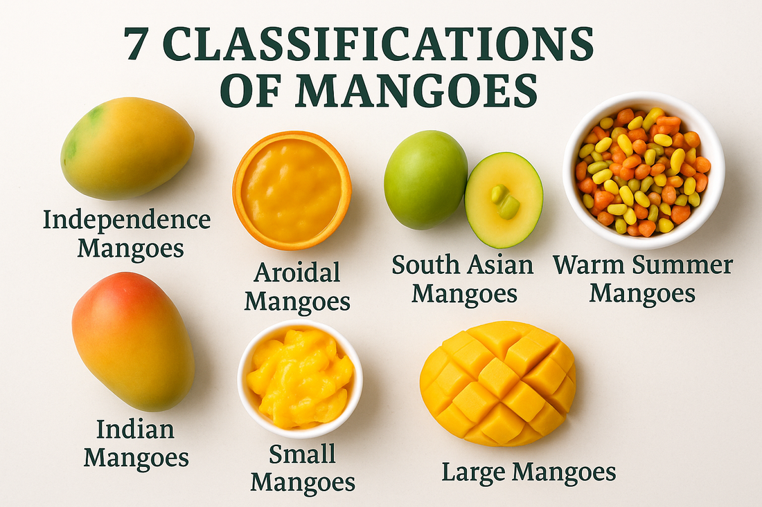 The 7 Classifications of Mangoes: A Comprehensive Guide – The Warsi Farm
