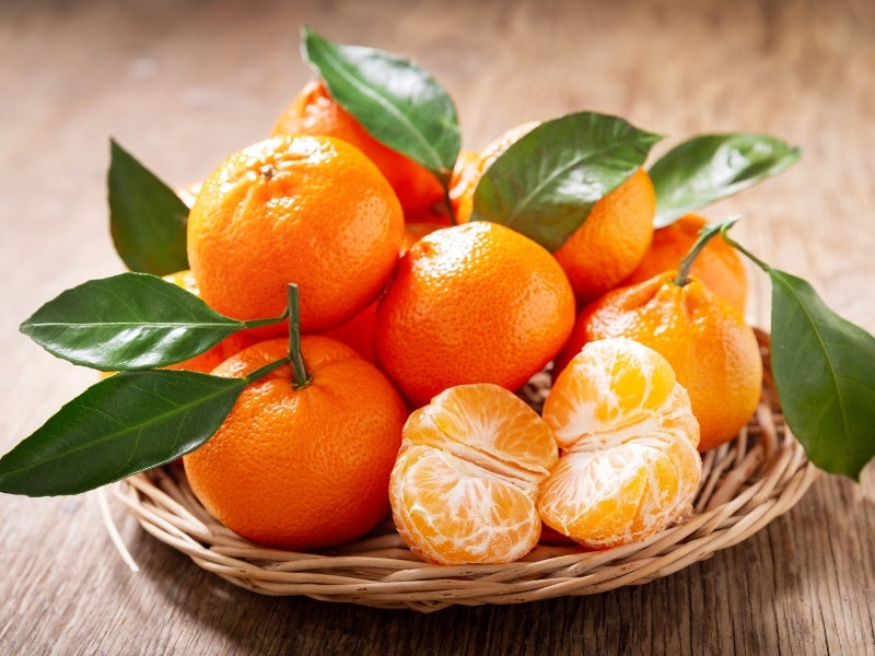 Seasonal Fruits in Pakistan – Freshness in Every Season – The Warsi Farm