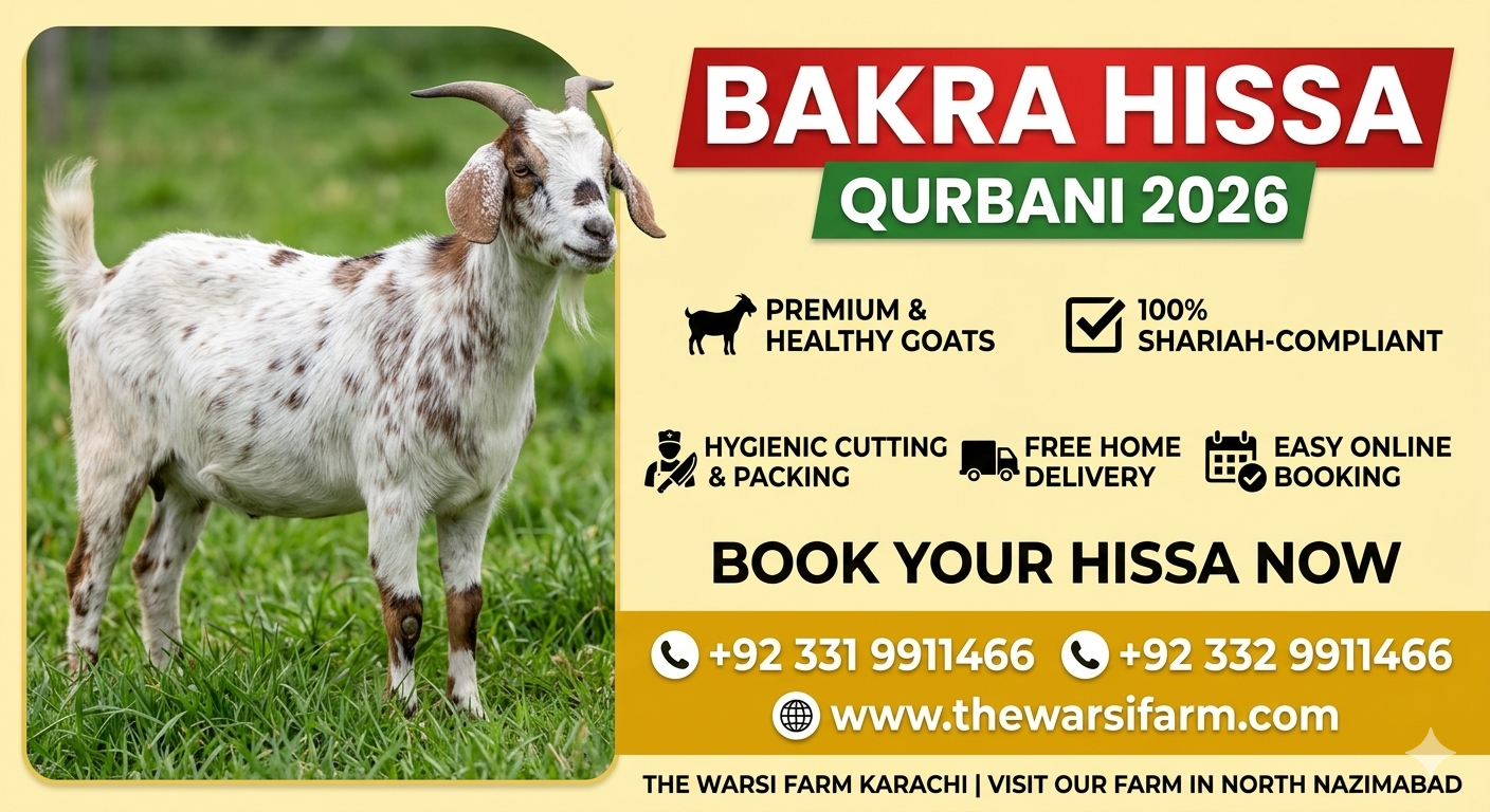 Bakra Hissa Qurbani 2026 Karachi | Goat Qurbani | The Warsi Farm