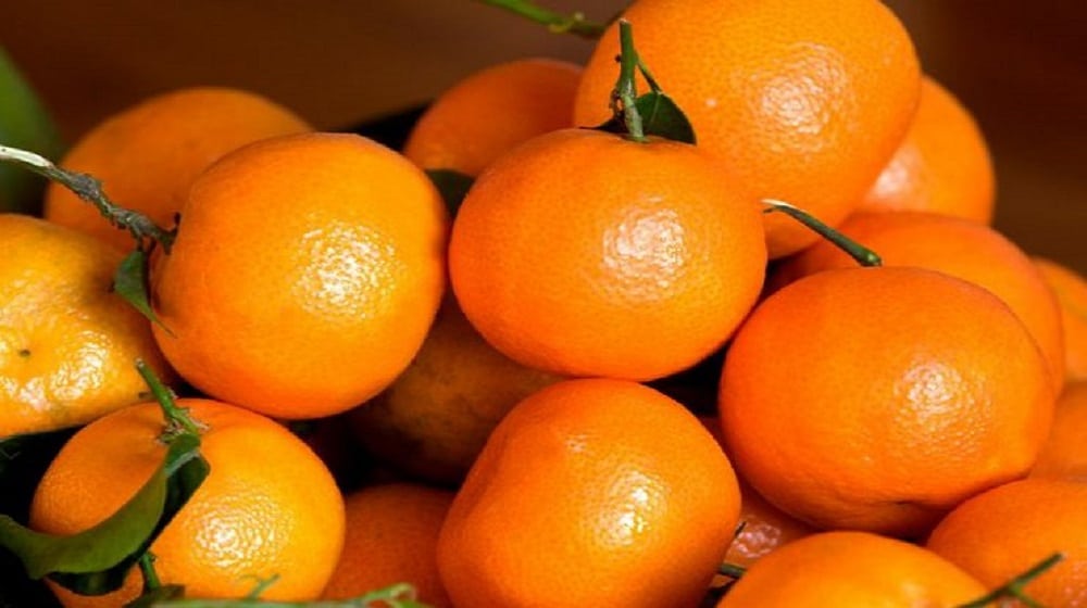 Kinnow: The King Fruit of Punjab and The Warsi Farm's Commitment to Qu