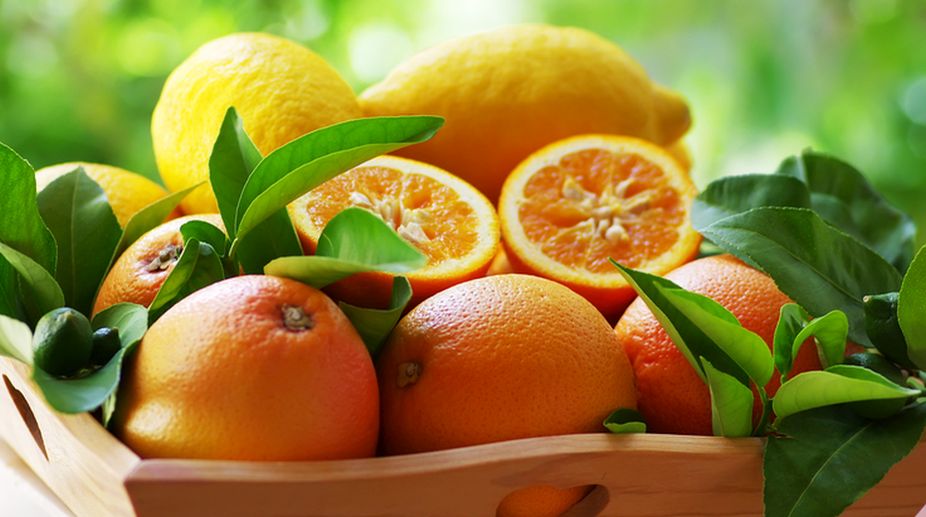 Everything You Need to Know About Kinnow Cultivation in Pakistan – The ...