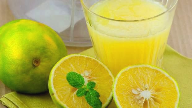 Sweet Lime: The Refreshing Citrus Fruit You Need to Try – The Warsi Farm
