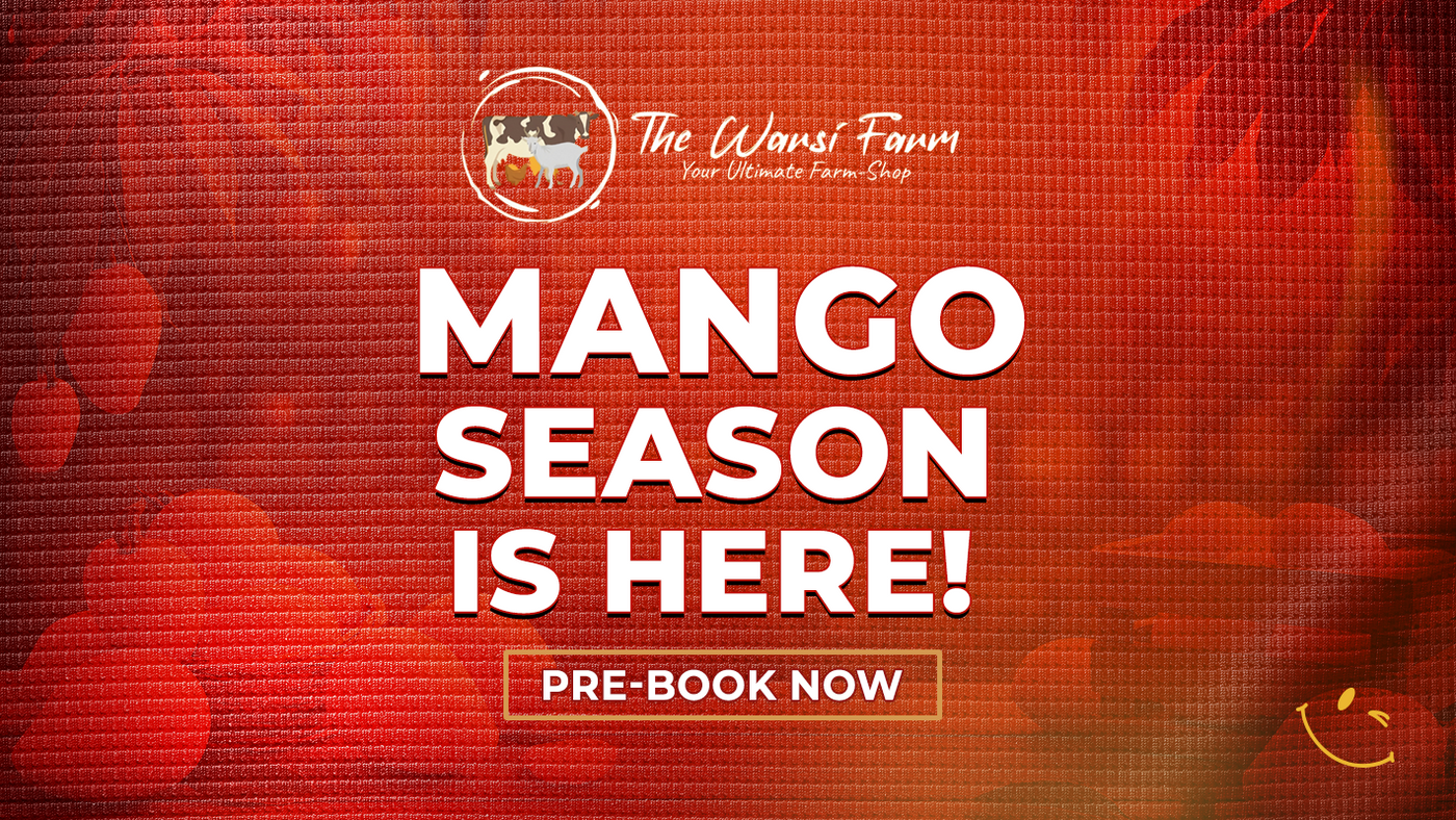 Are Mangoes High in Fiber? Exploring the Fiber Content and Health Bene ...